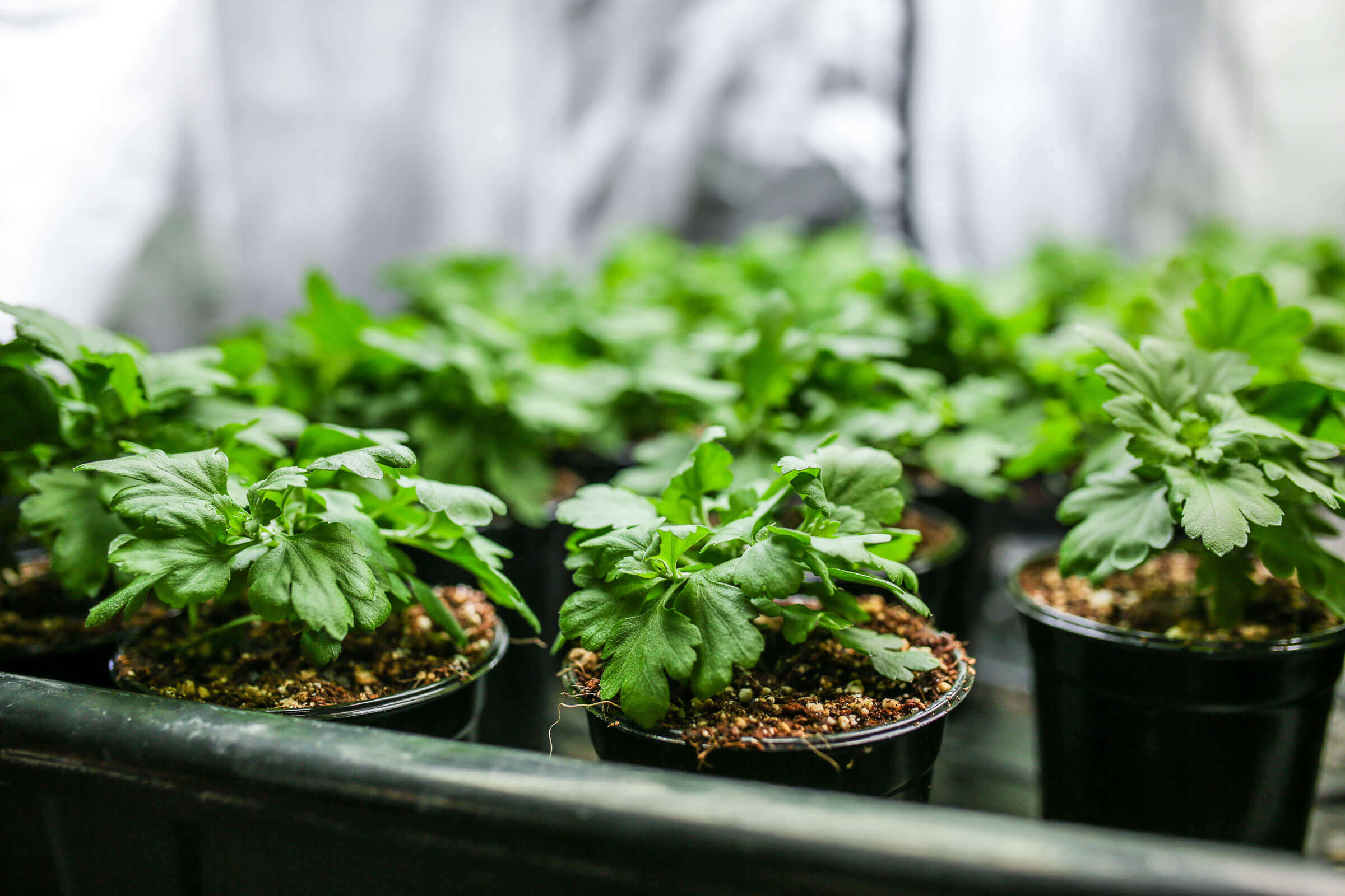 Learning center – General Hydroponics