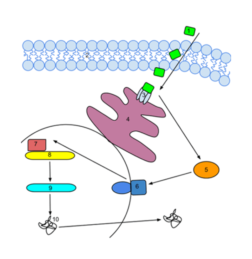 The ripening hormone: Ethylene – General Hydroponics